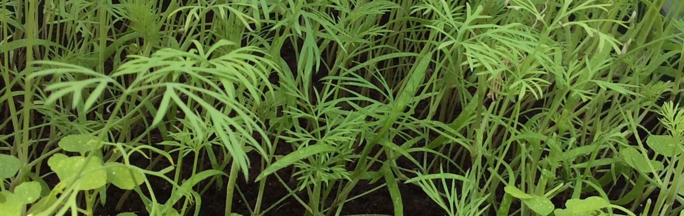 Blogs| buildhub.org.uk