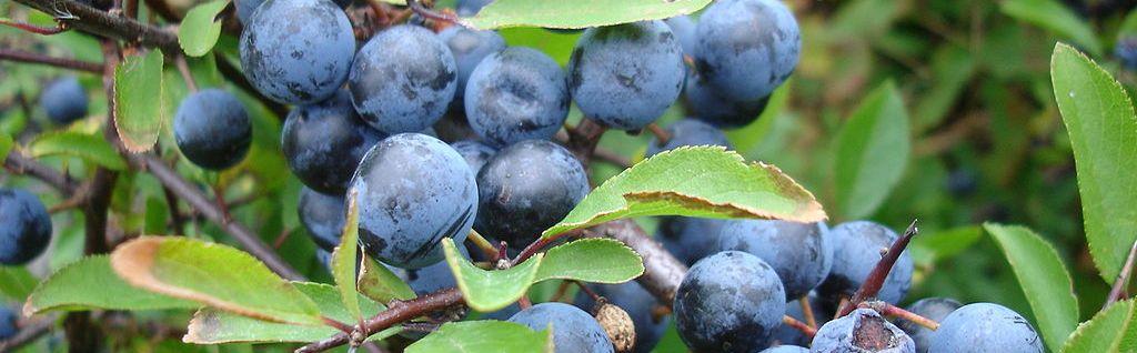 Blogs| buildhub.org.uk